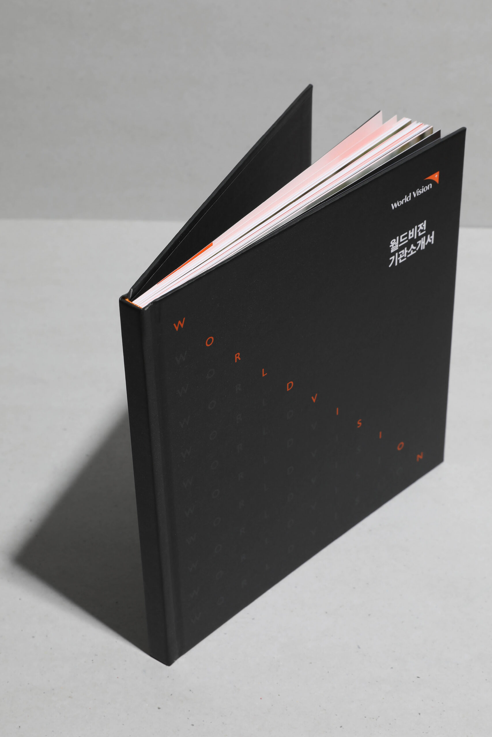 World Vision - Agency Introduction Brochure - theflowerway