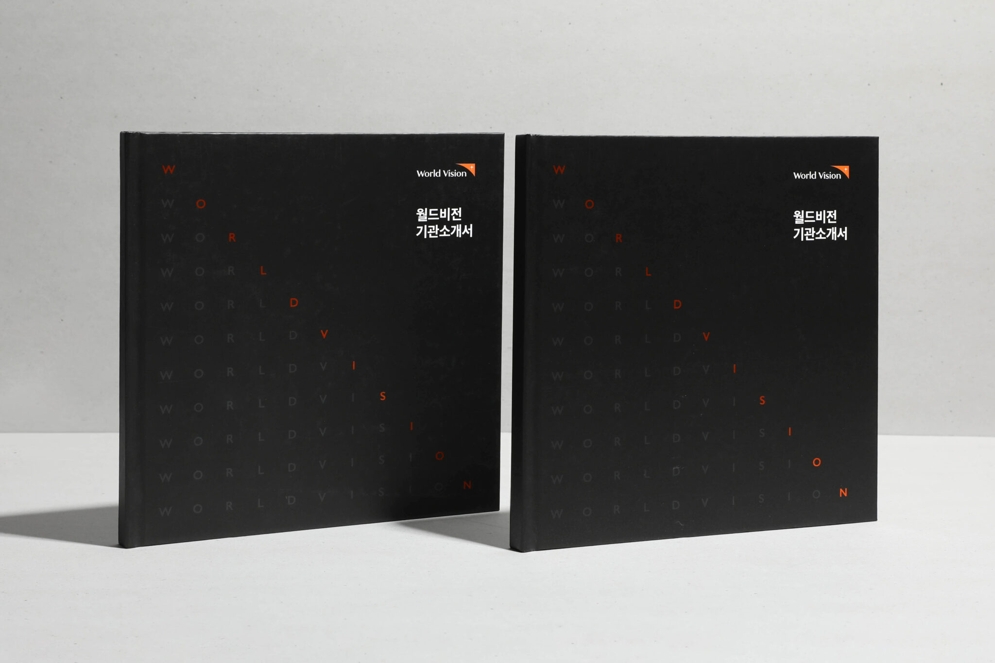 World Vision - Agency Introduction Brochure - theflowerway