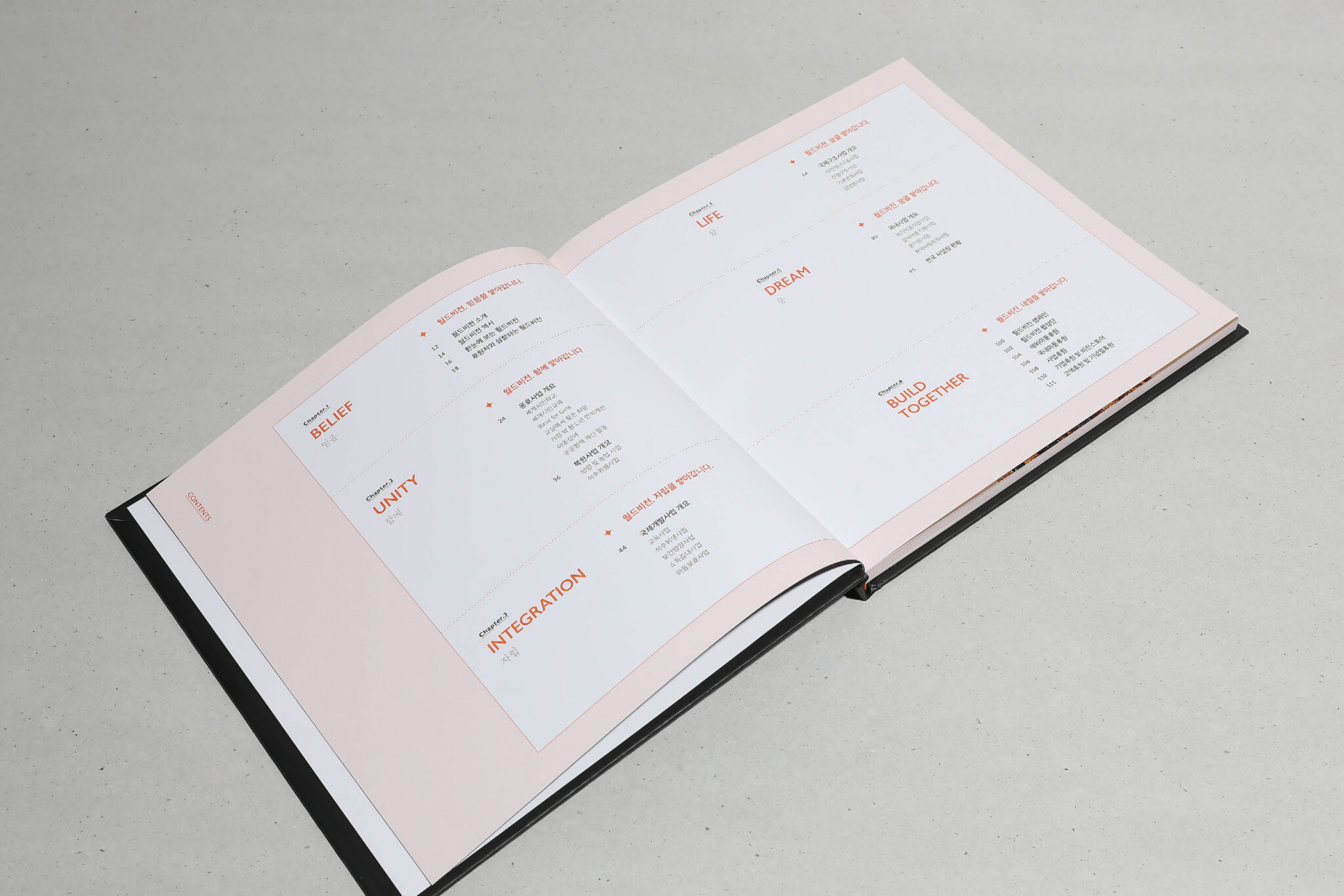 World Vision - Agency Introduction Brochure - theflowerway