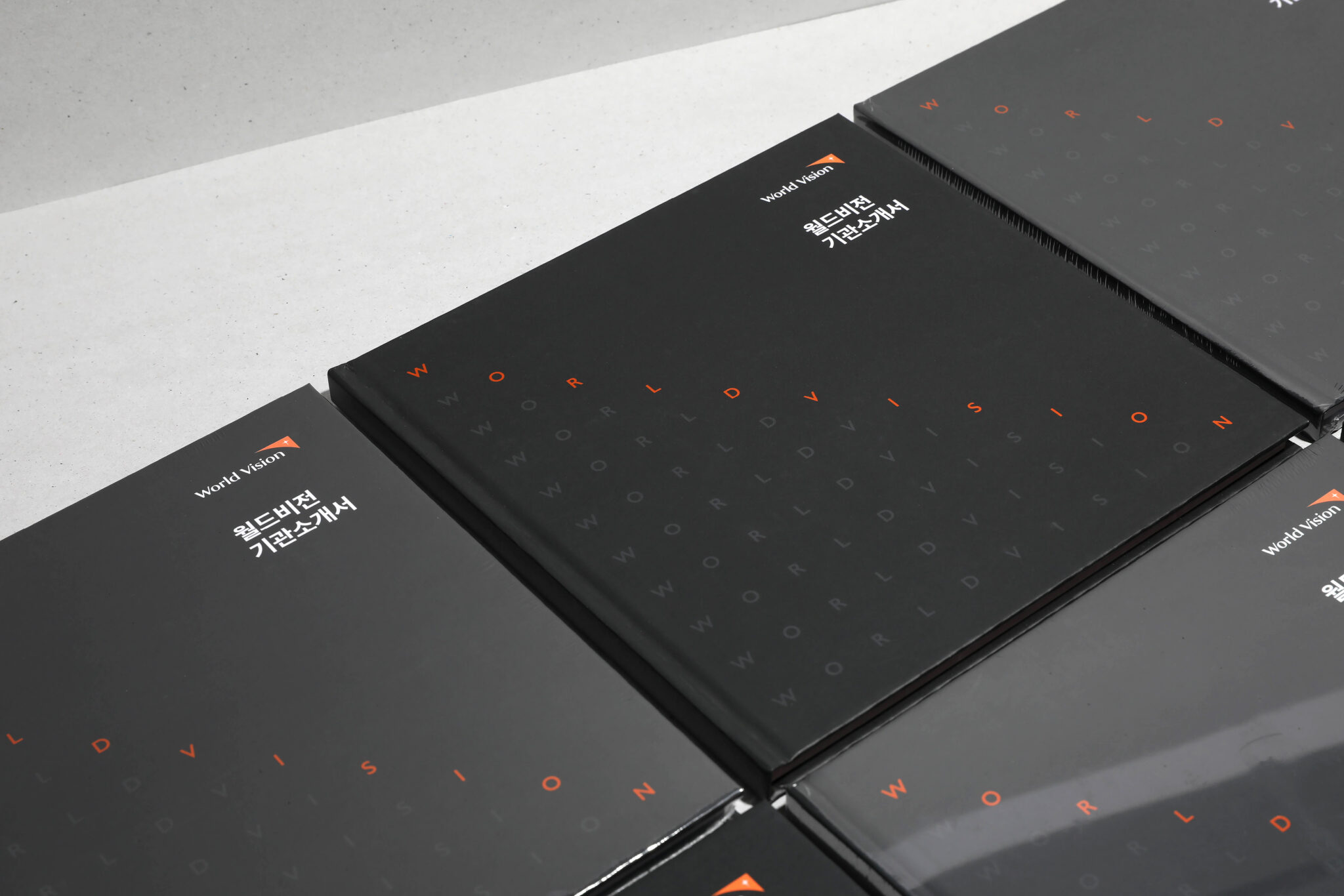 World Vision - Agency Introduction Brochure - theflowerway