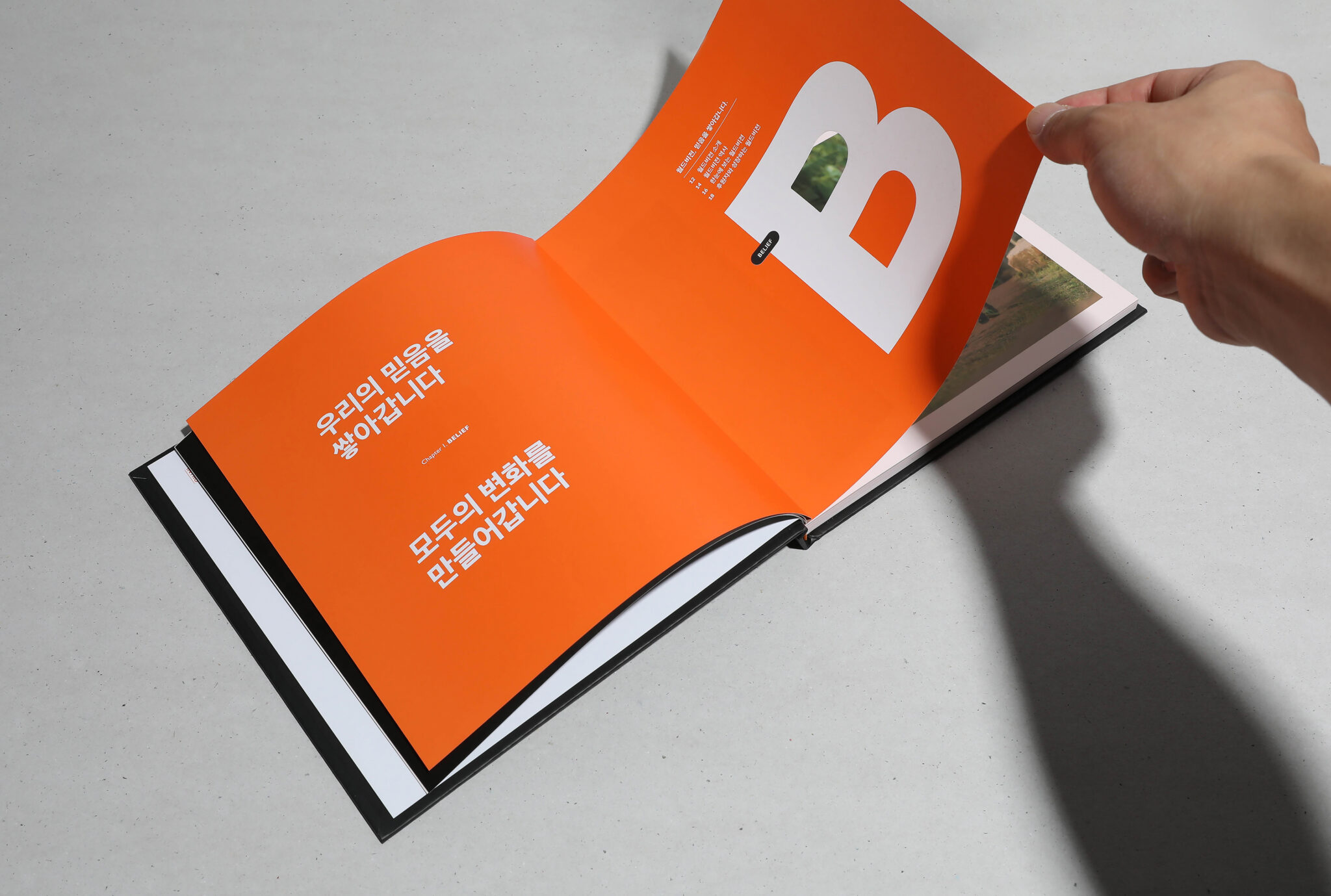 World Vision - Agency Introduction Brochure - theflowerway