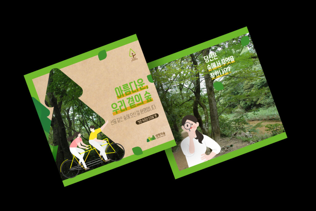 Forest for Life – 50 beautiful forests - theflowerway